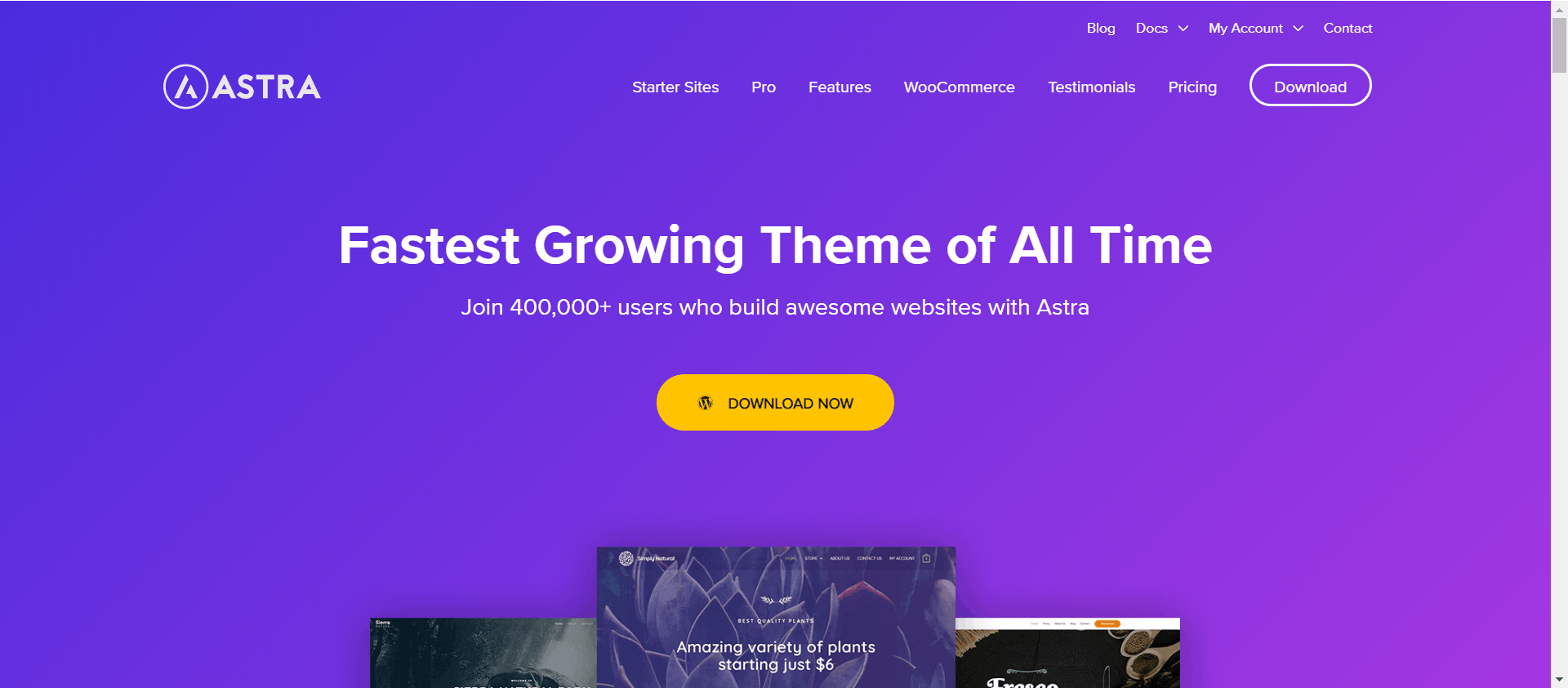 Astra Theme Features: Discover the Top Features of Astra Theme - JLDURON